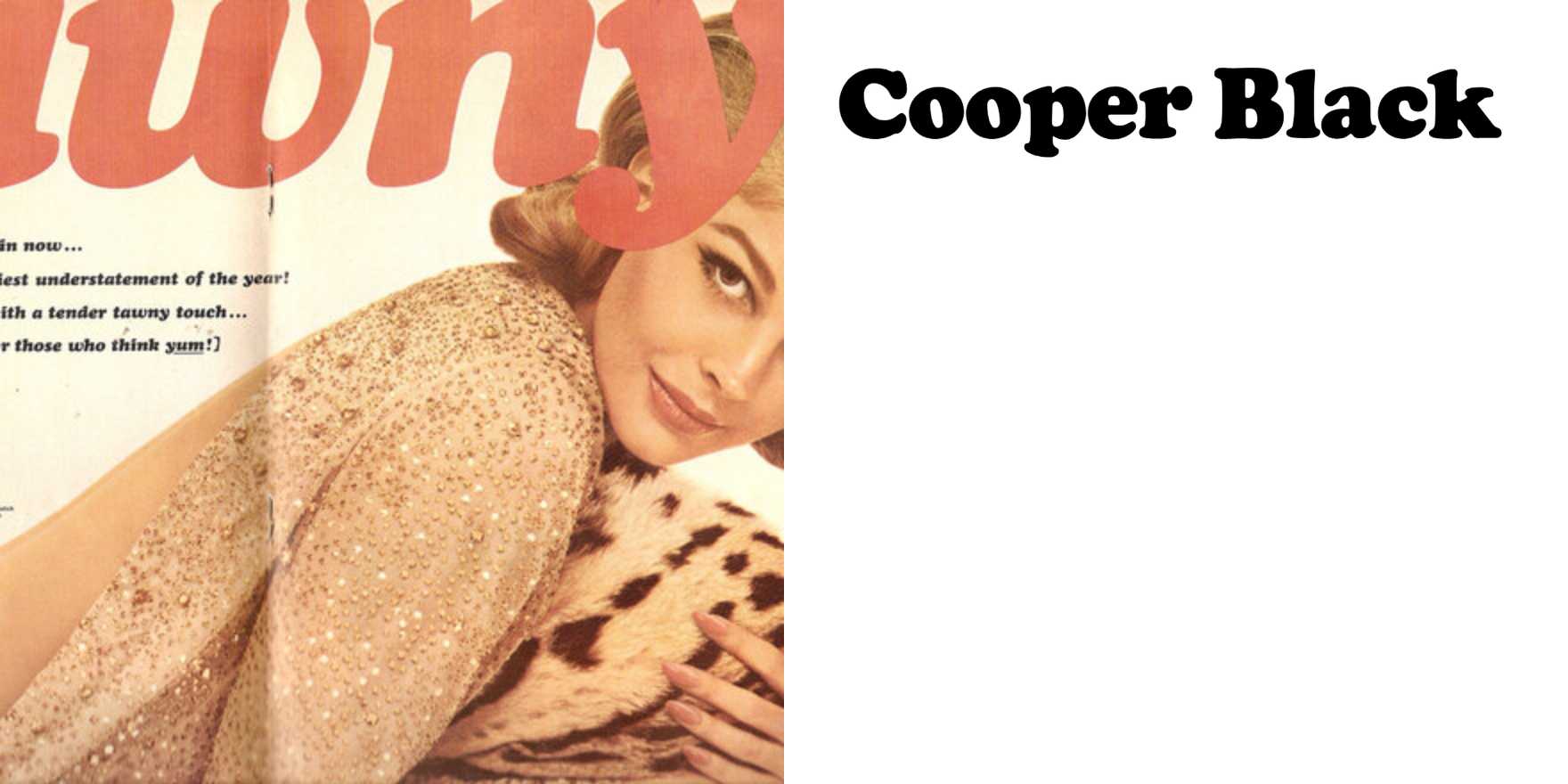 1964 Revlon ad: “tawny” - Fonts In Use