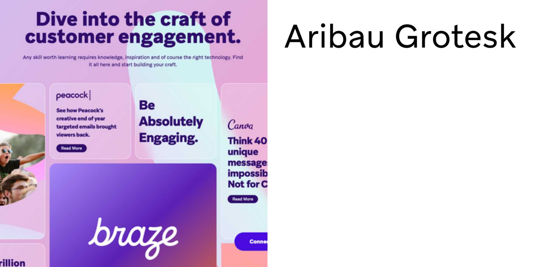 Braze website - Fonts In Use