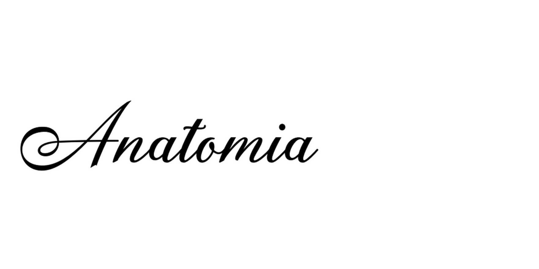 Anatomia in use - Fonts In Use