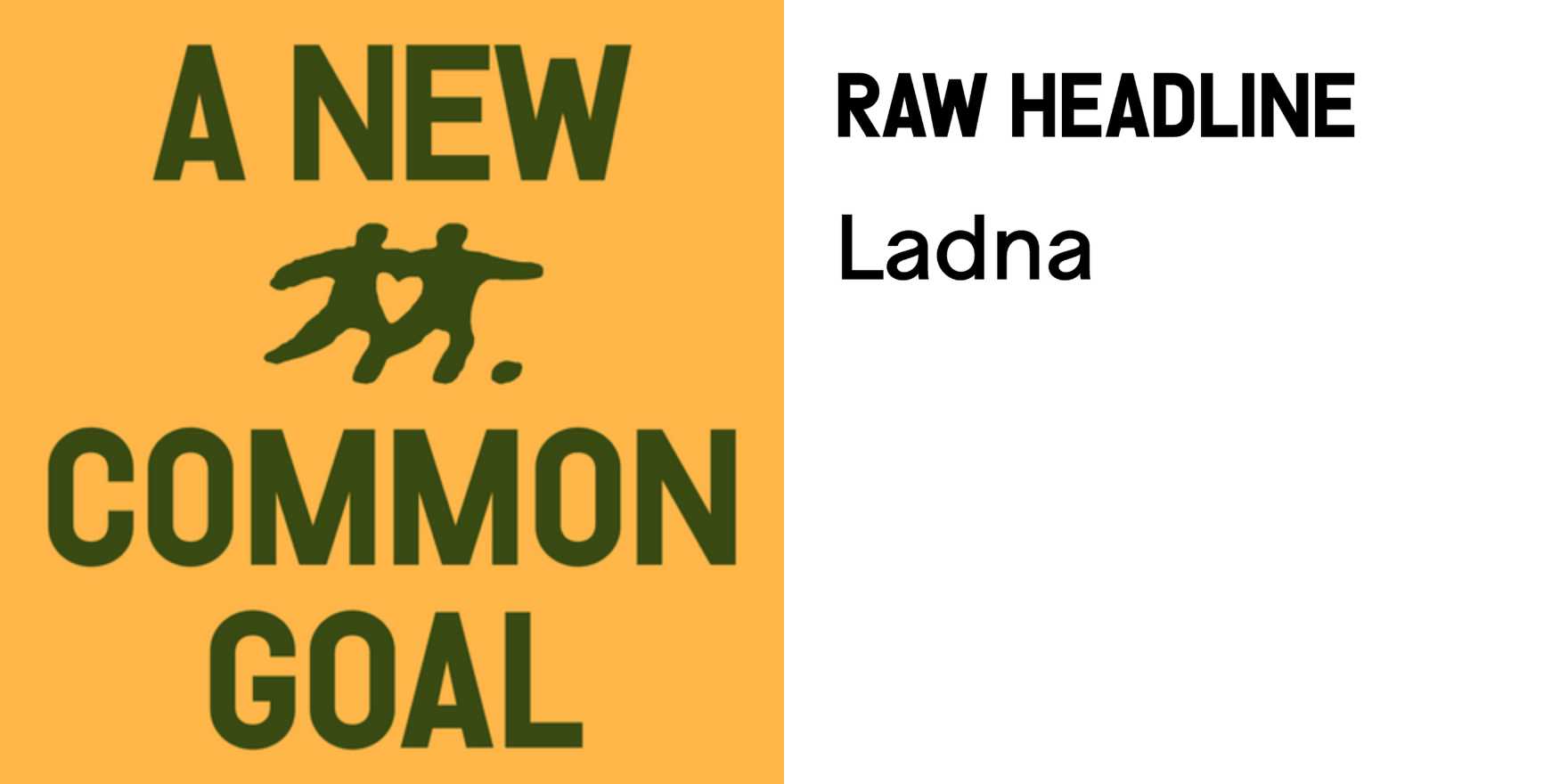 Common Goal - Fonts In Use