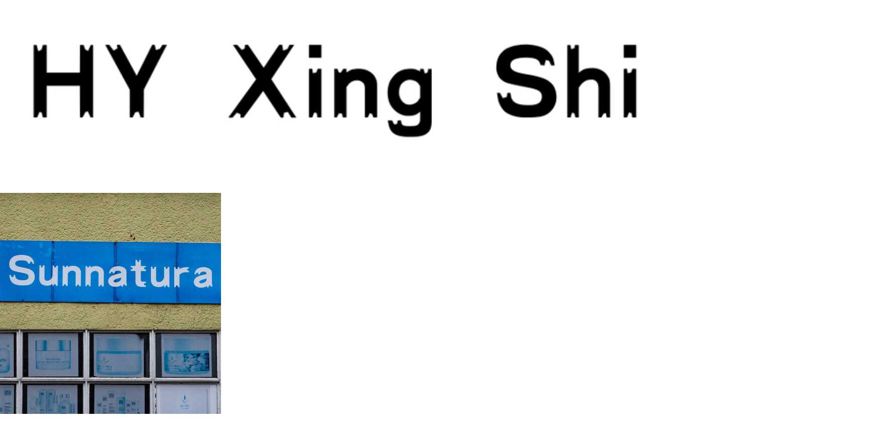 HANYI Xing Shi in use - Fonts In Use