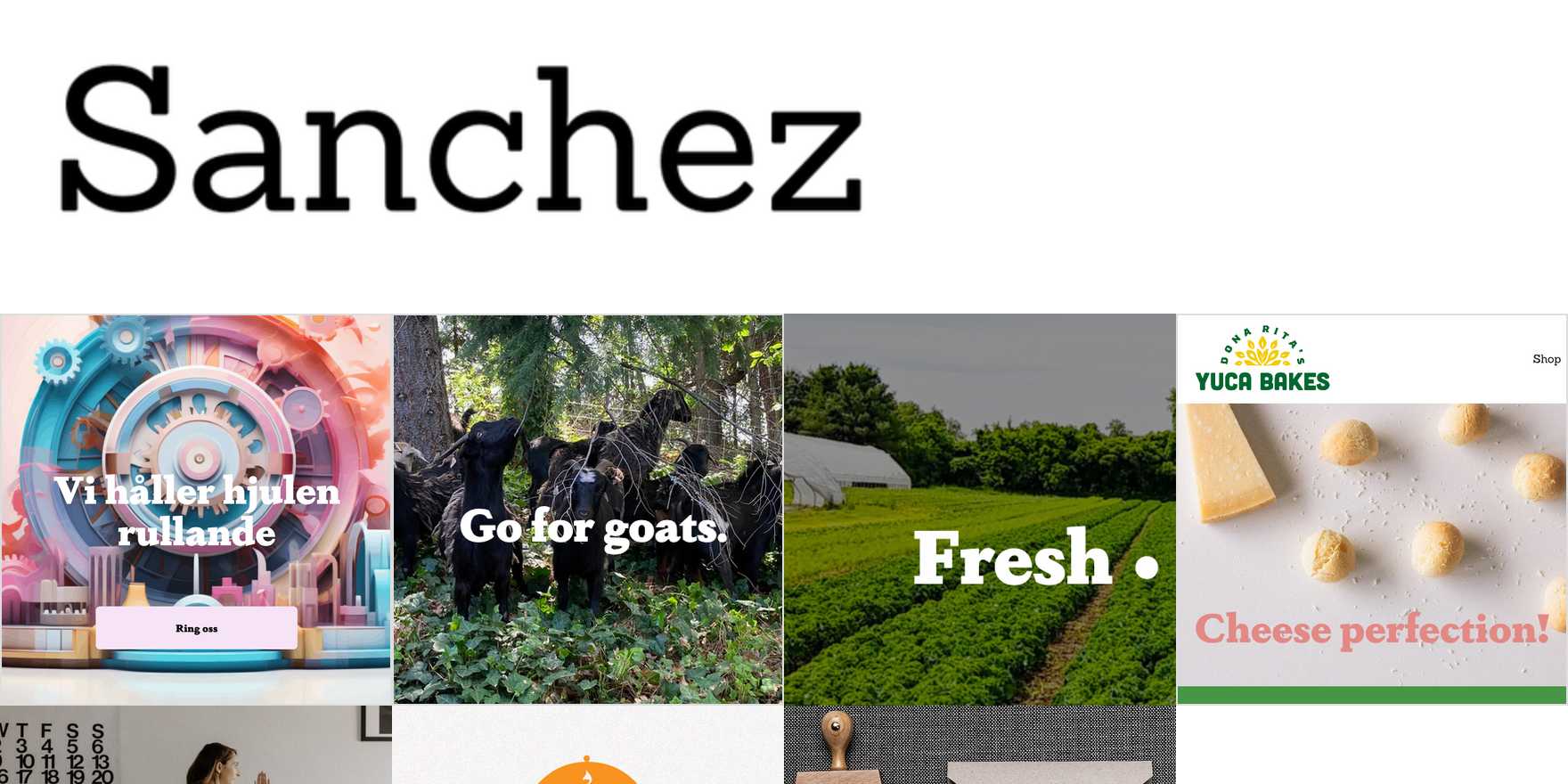 Sanchez in use - Fonts In Use