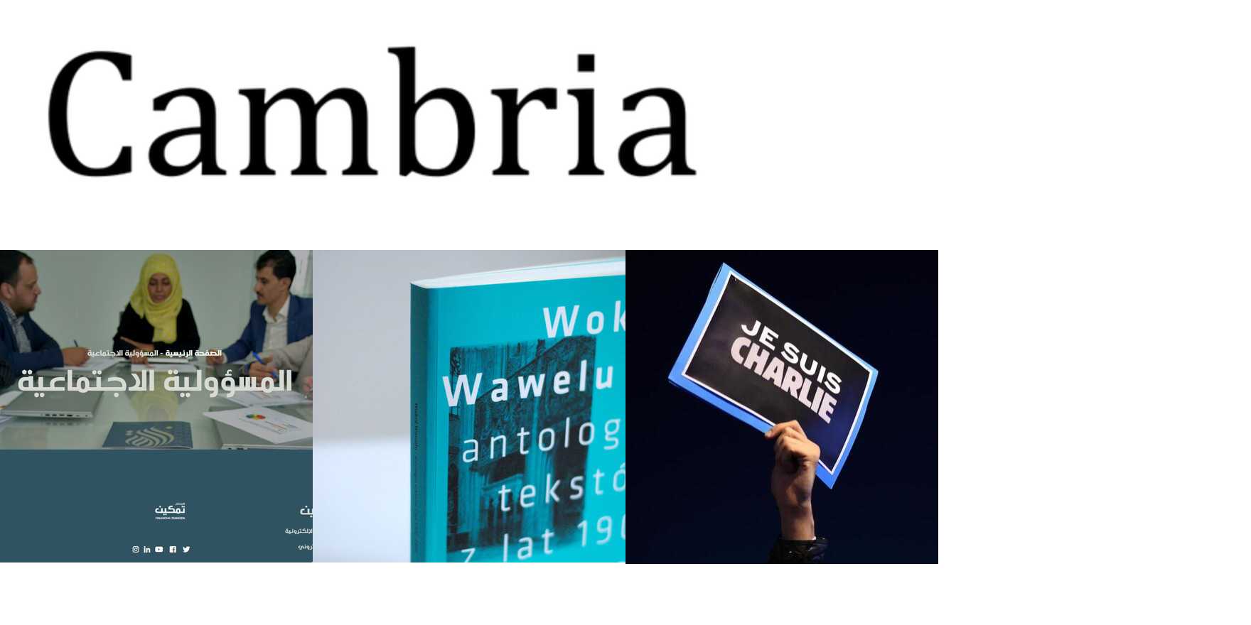 Cambria in use - Fonts In Use
