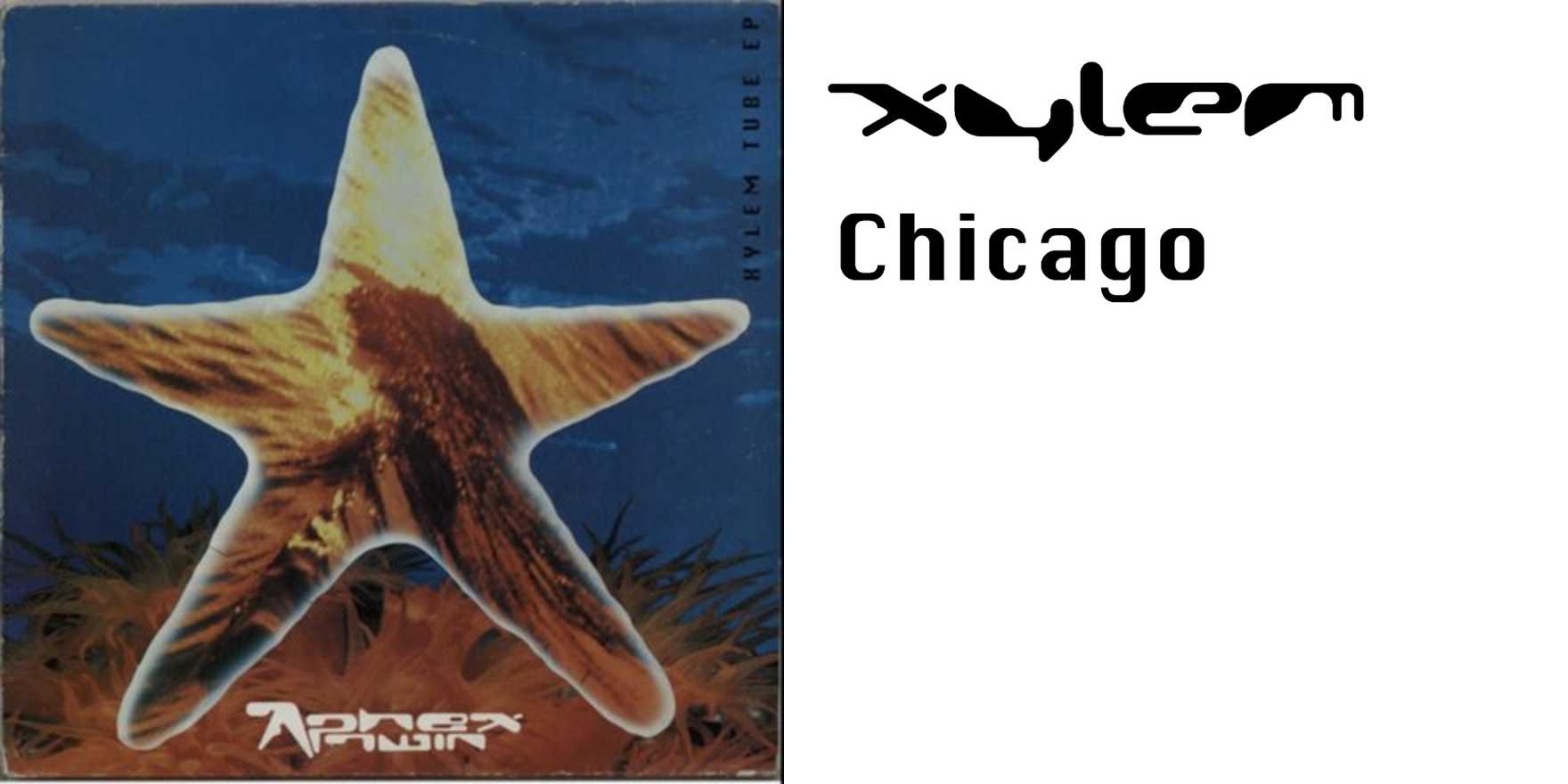 Aphex Twin – Xylem Tube EP cover - Fonts In Use