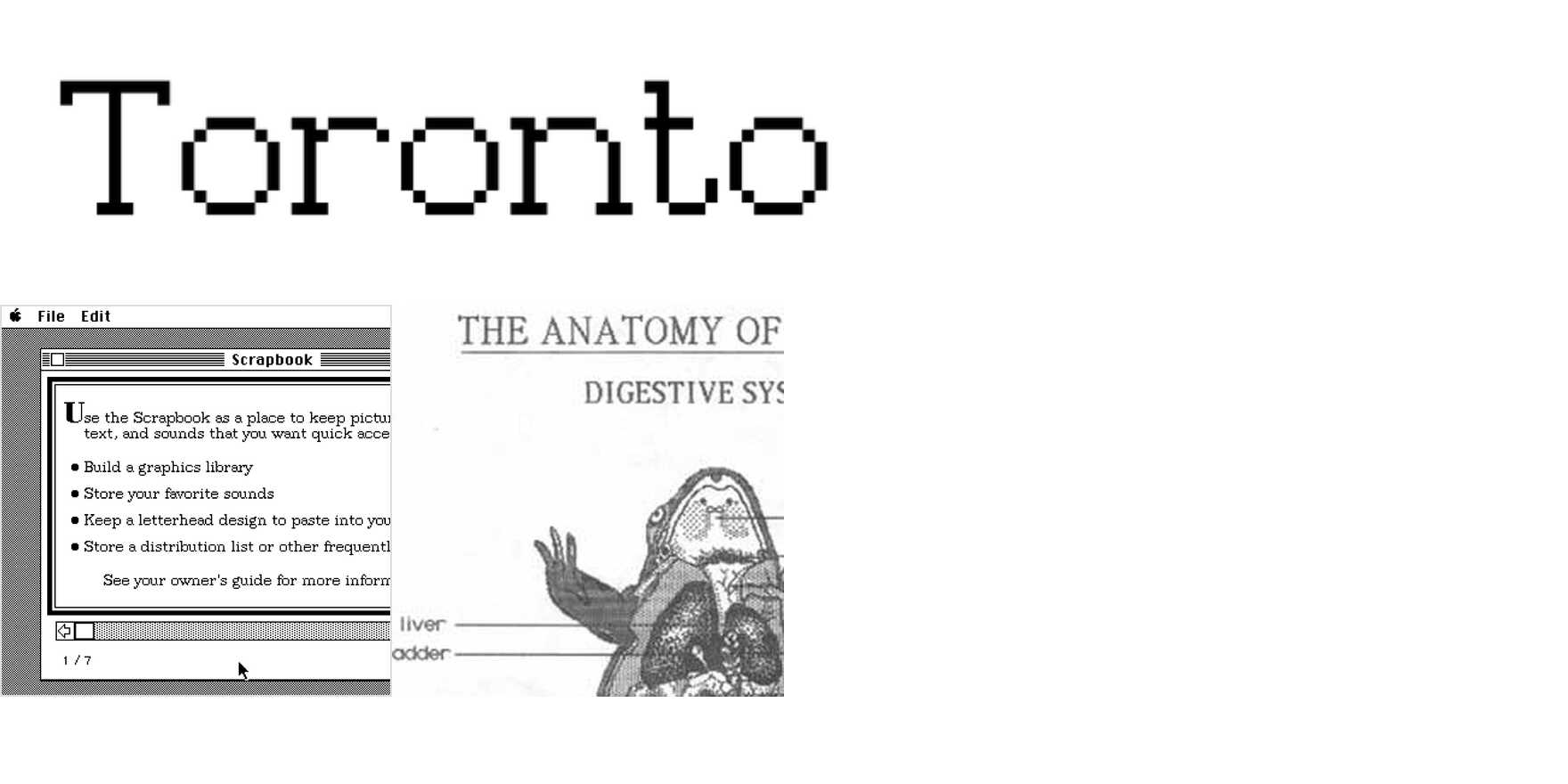 Toronto in use - Fonts In Use