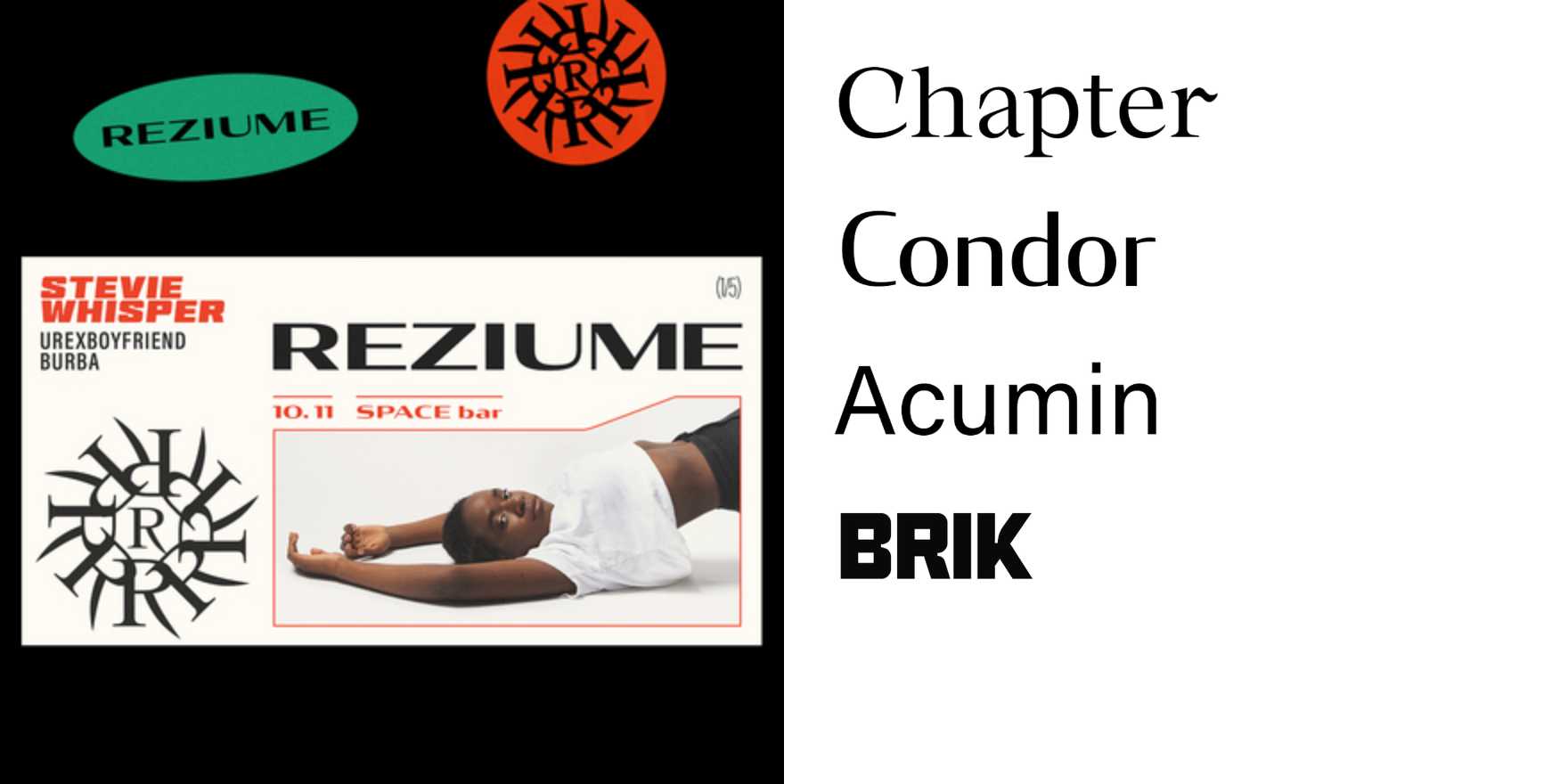 Reziume poster - Fonts In Use