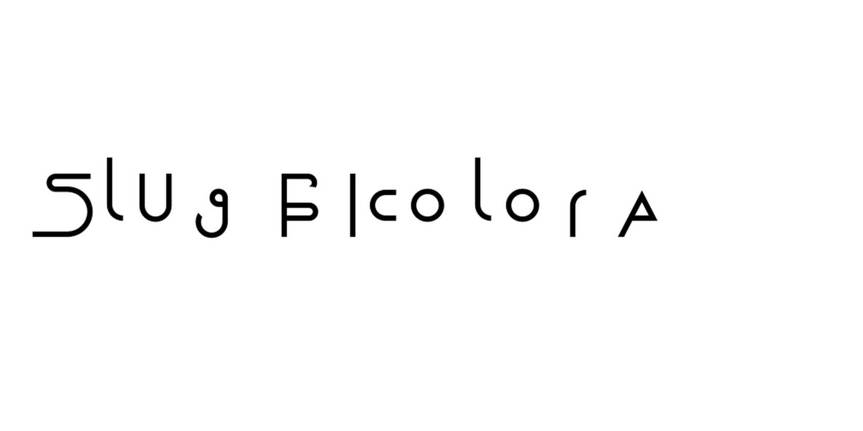 Slug Bicolor A in use - Fonts In Use