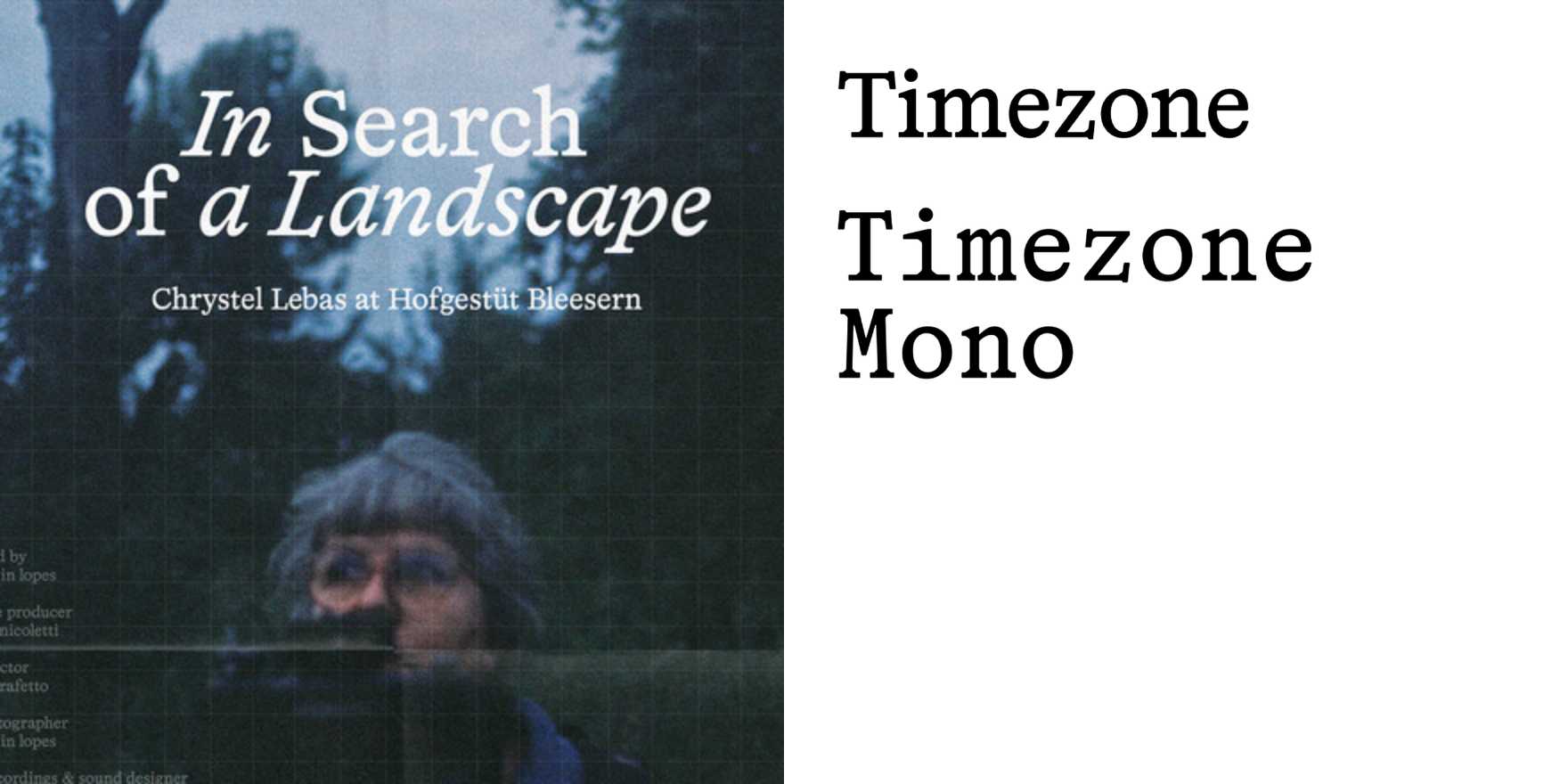 In Search of a Landscape movie poster and titles - Fonts In Use