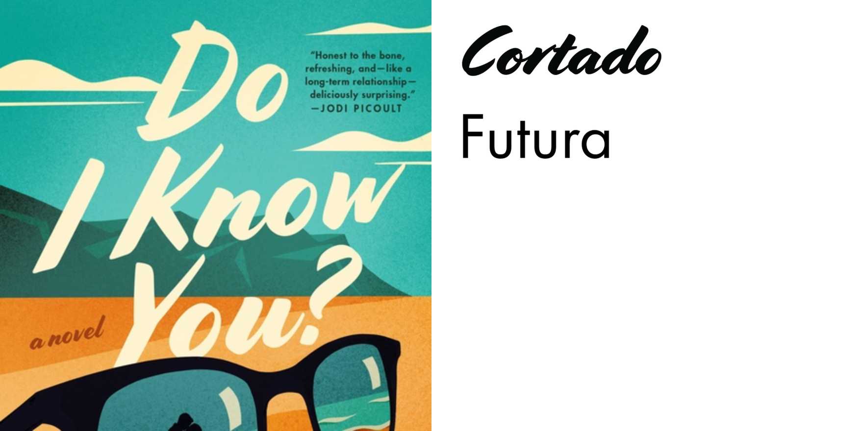 Do I Know You? by Emily Wibberley and Austin Siegemund-Broka - Fonts In Use