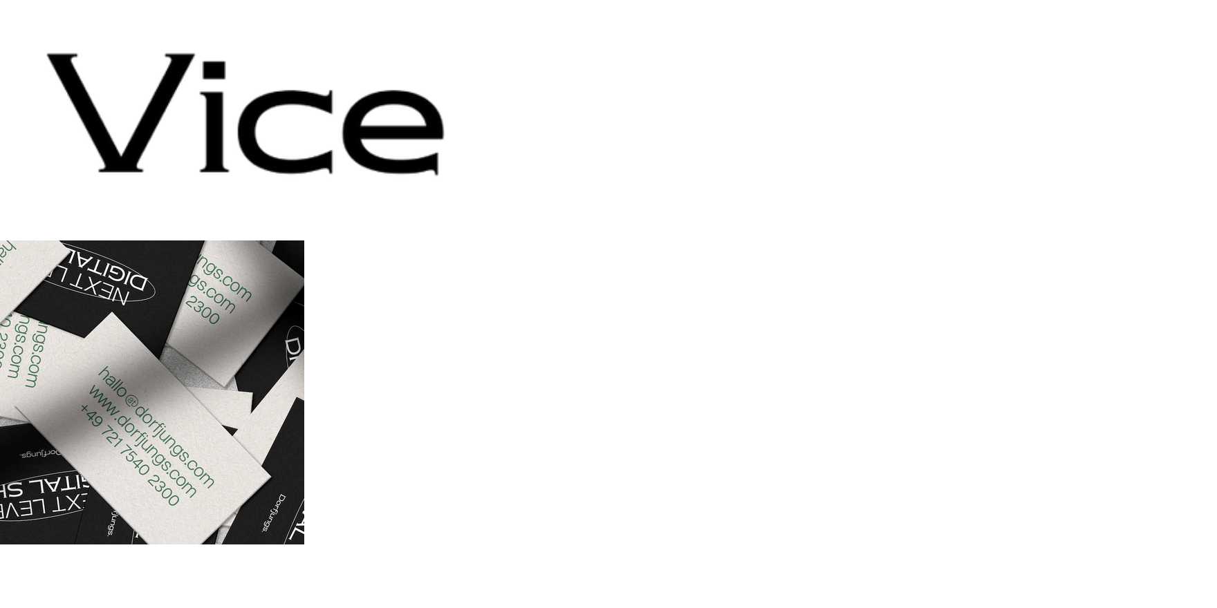 Vice in use - Fonts In Use