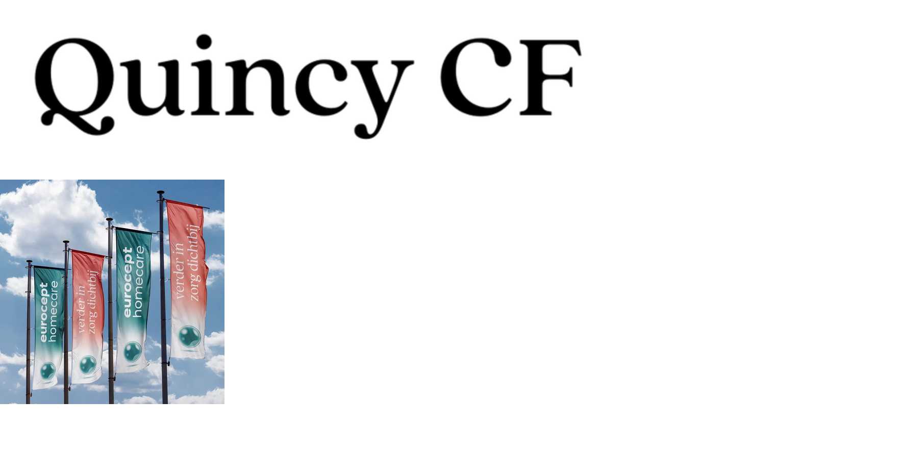 Quincy CF in use - Fonts In Use