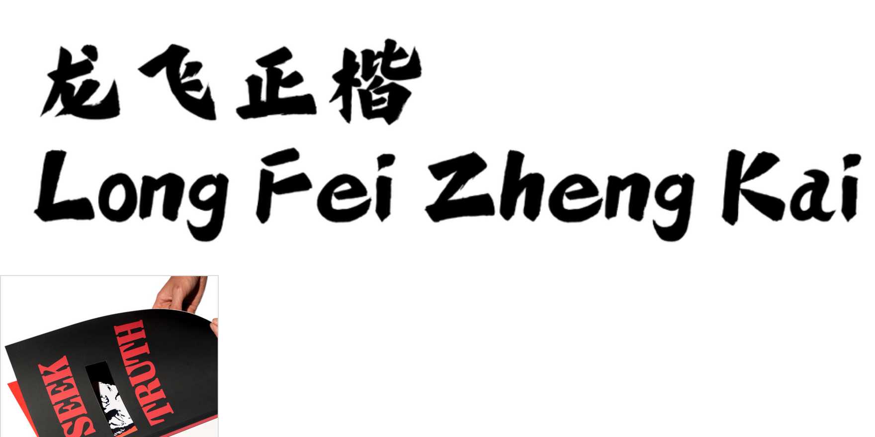 Long Fei Zheng Kai in use - Fonts In Use