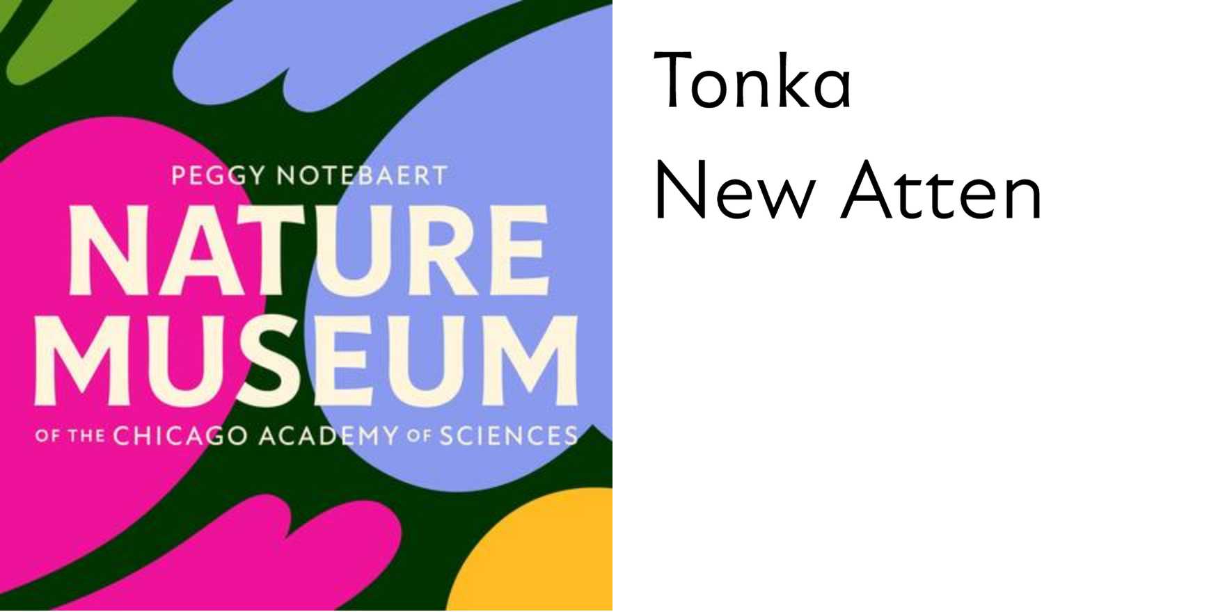 Nature Museum visual identity - Fonts In Use