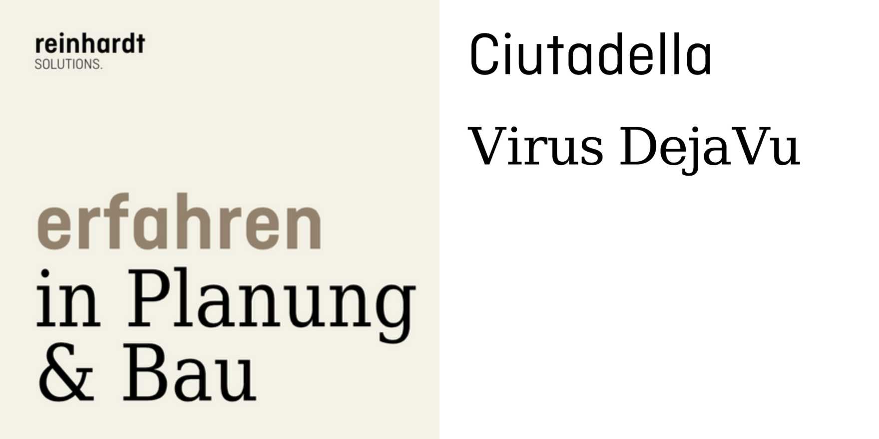 Reinhardt Solutions - Fonts In Use