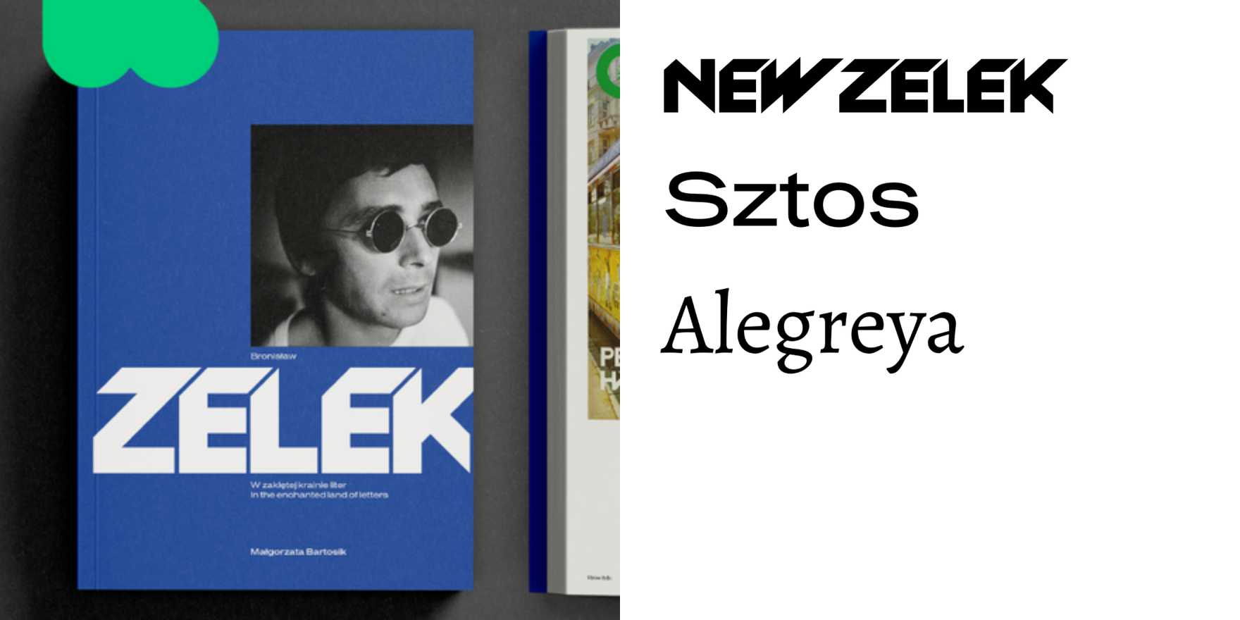 Bronisław Zelek – W zaklętej krainie liter / In the enchanted land of ...