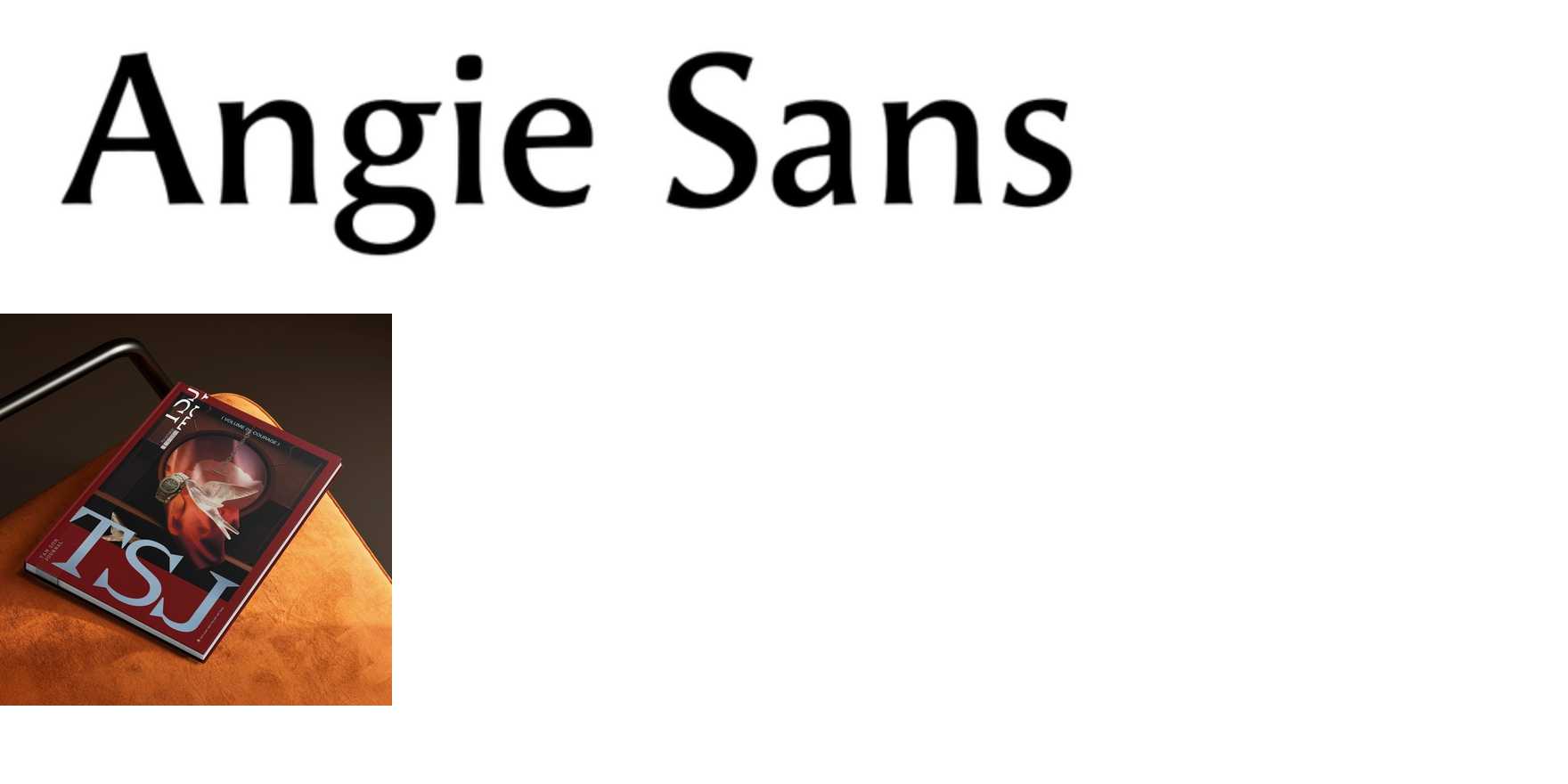 Angie Sans in use - Fonts In Use