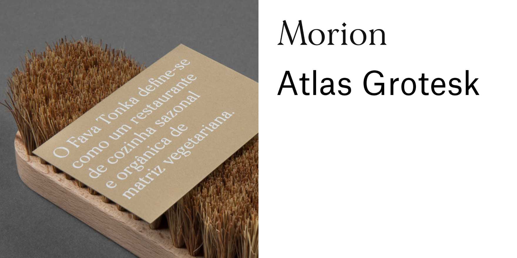 Fava Tonka - Fonts In Use