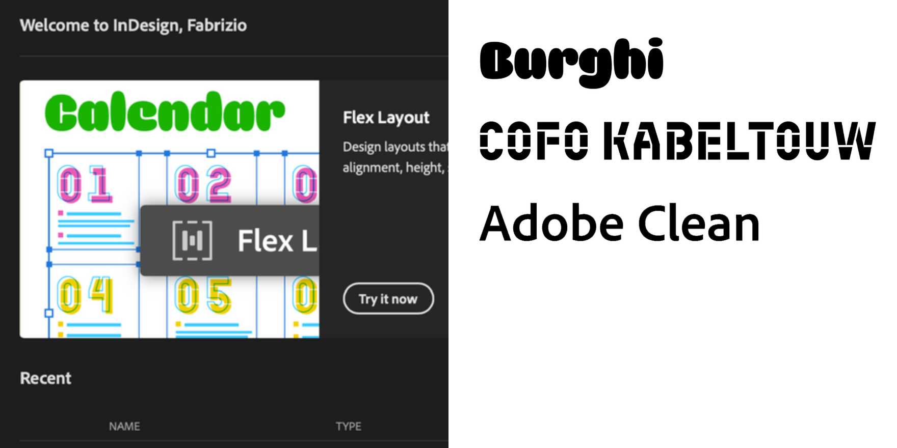 Adobe InDesign 2026, Flex Layout graphic - Fonts In Use