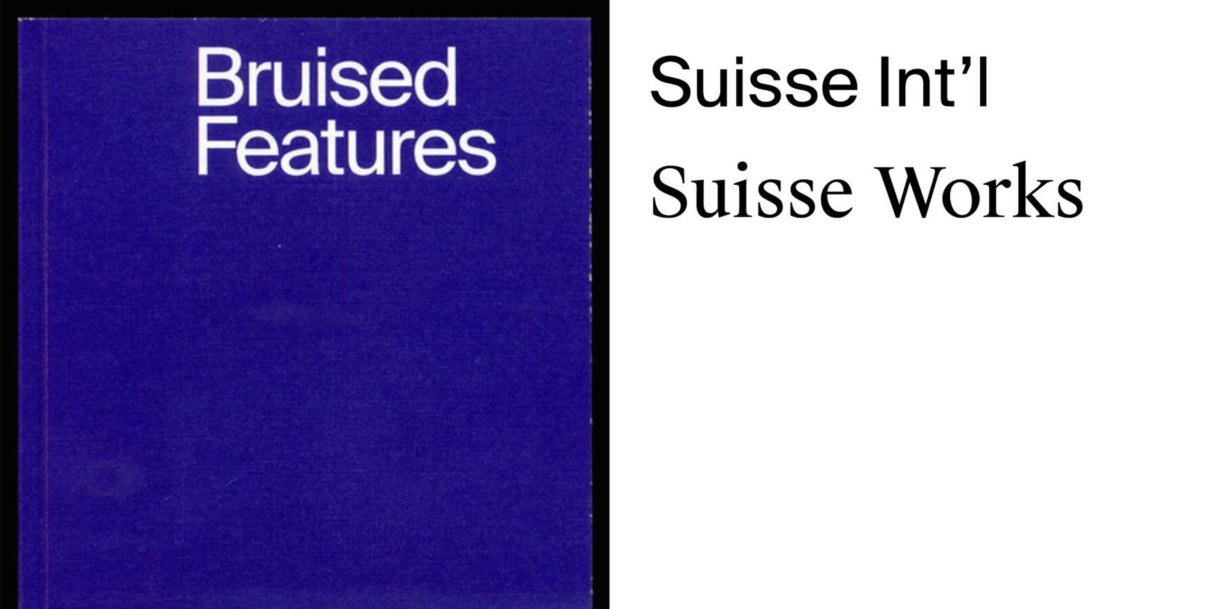 Bruised Features - Fonts In Use