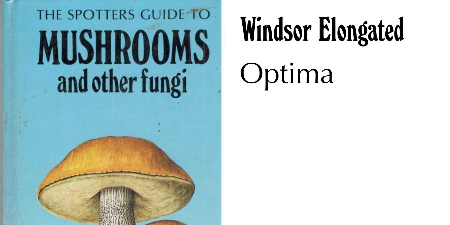 The Spotters Guide to Mushrooms and Other Fungi by Aurel Dermek - Fonts ...