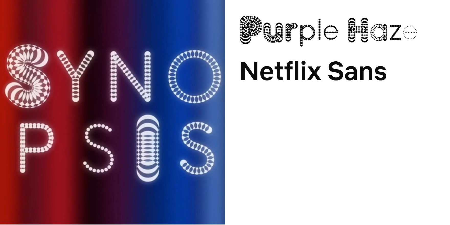 Netflix Club - Fonts In Use