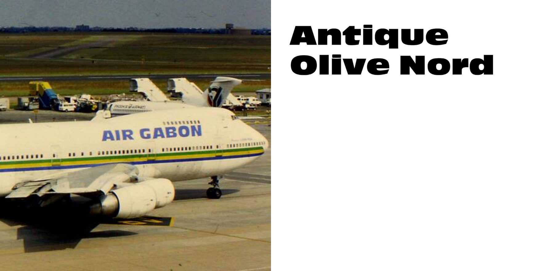 Air Gabon logo - Fonts In Use