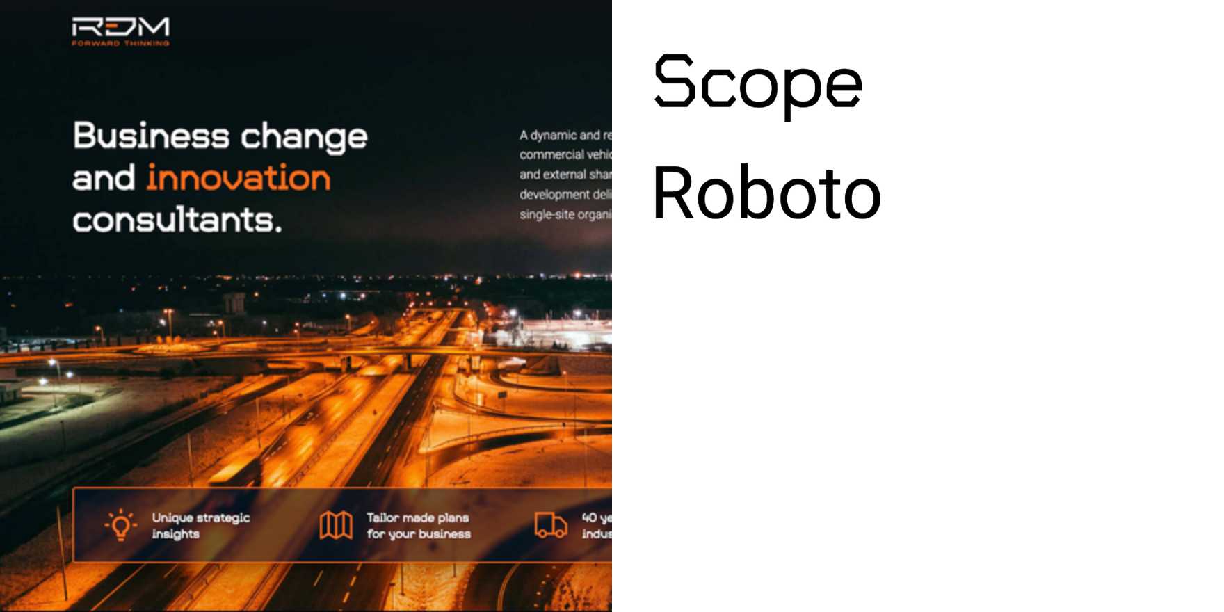 Rapid Dyne Management website - Fonts In Use