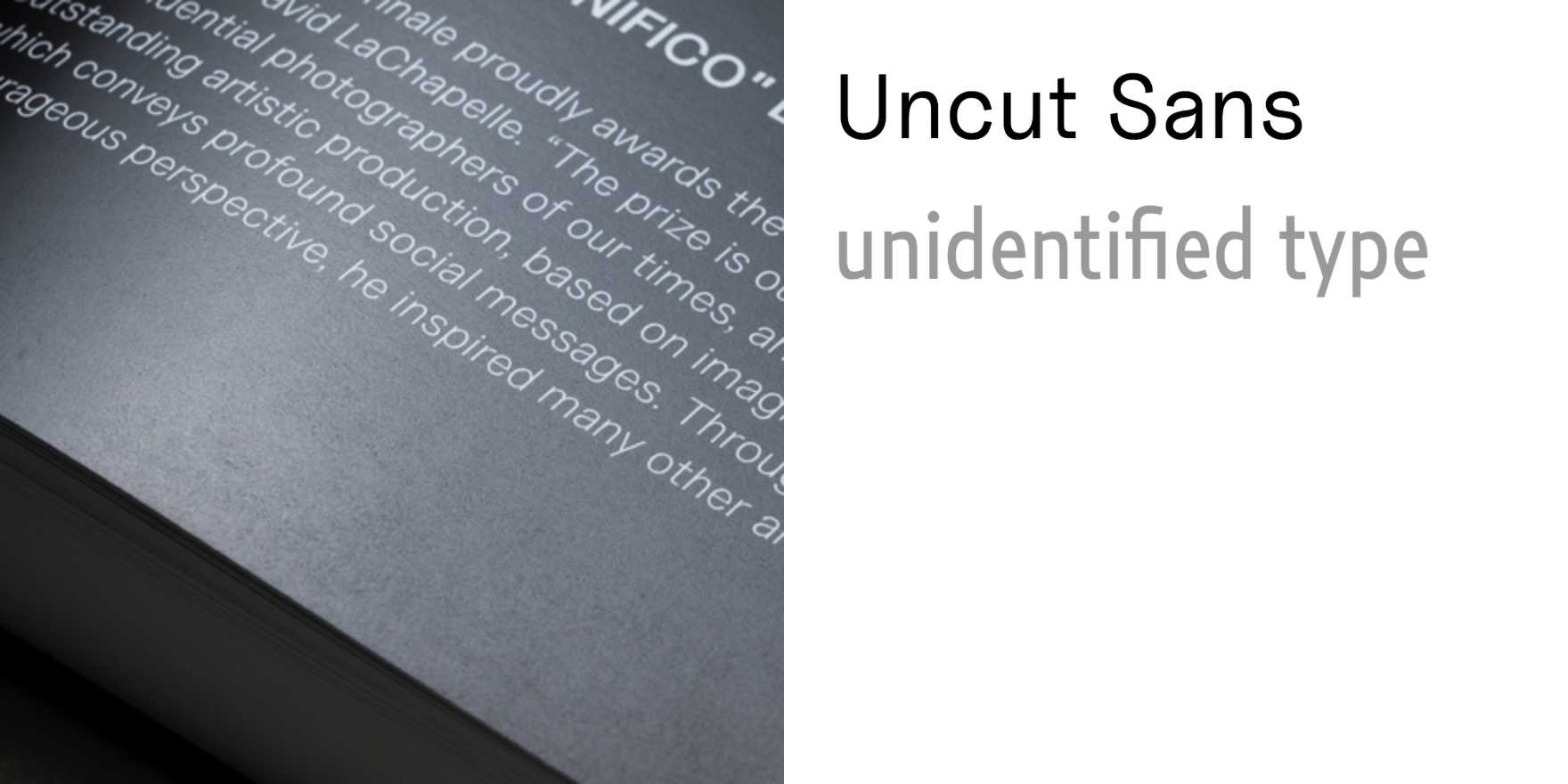 XIV Florence Biennale catalogue - Fonts In Use