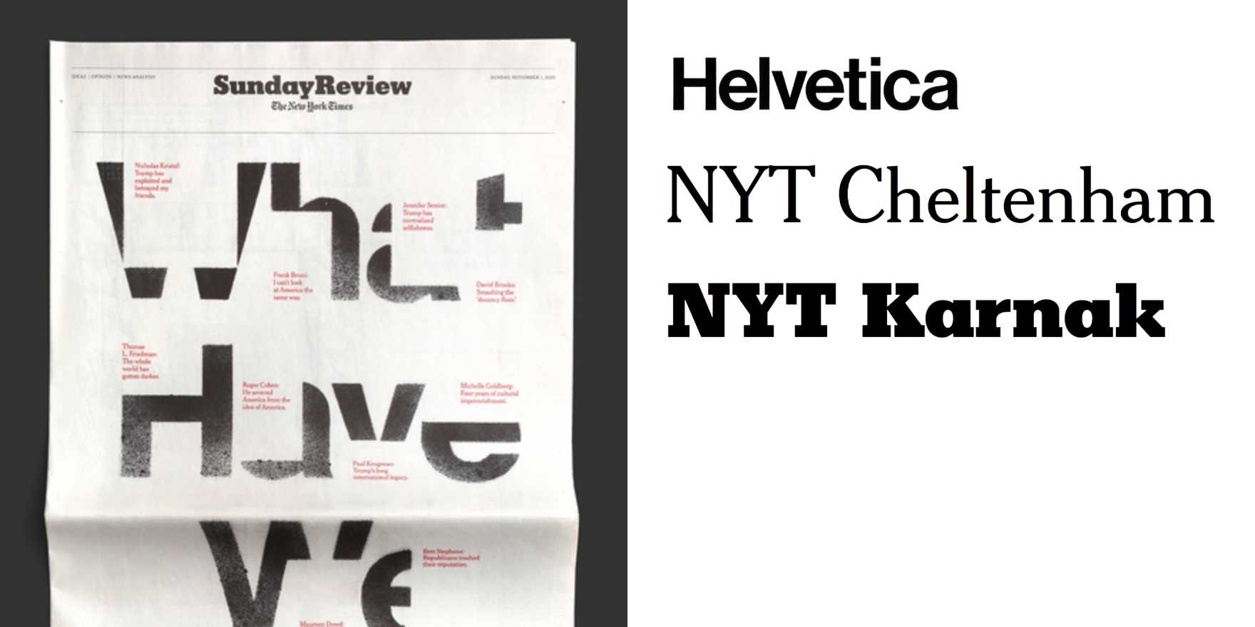 “What Have We Lost?”, The New York Times - Fonts In Use