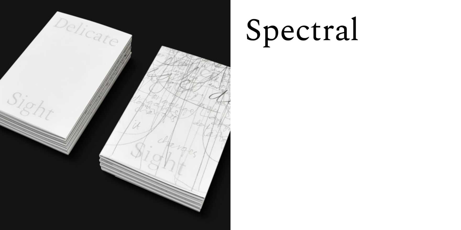 A Delicate Sight by Sam Winston - Fonts In Use