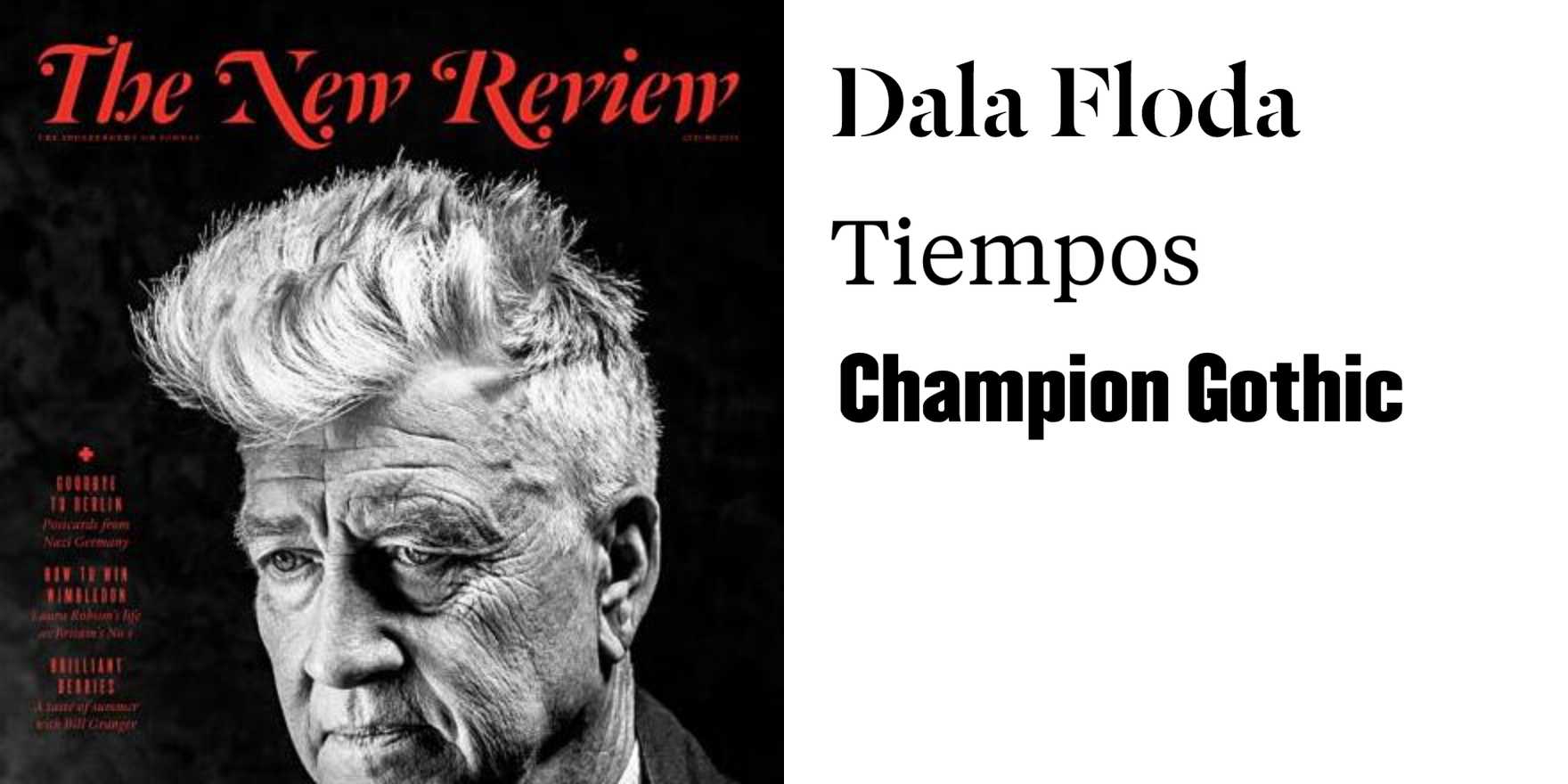 The New Review - Fonts In Use