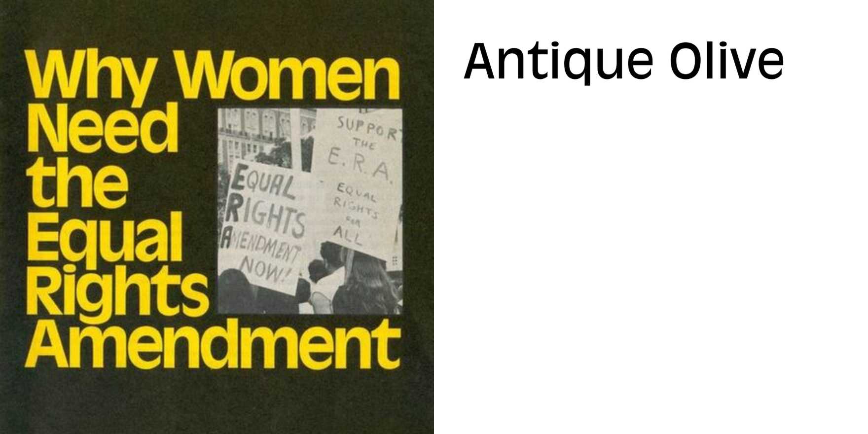 Why Women Need the Equal Rights Amendment by Dianne Feeley - Fonts In Use