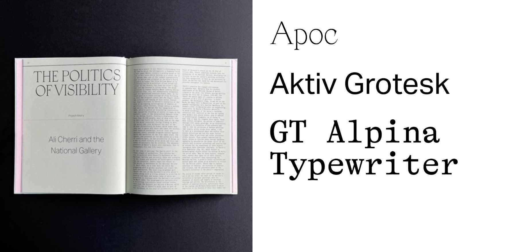 Ali Cherri. 2021 National Gallery Artist in Residence - Fonts In Use