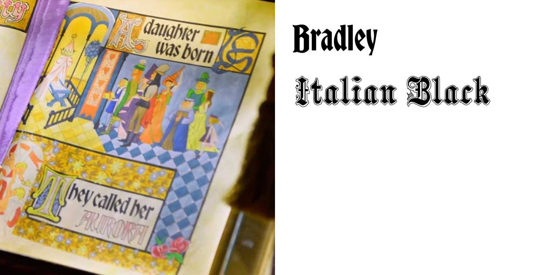 Sleeping Beauty Castle Storybook - Fonts In Use