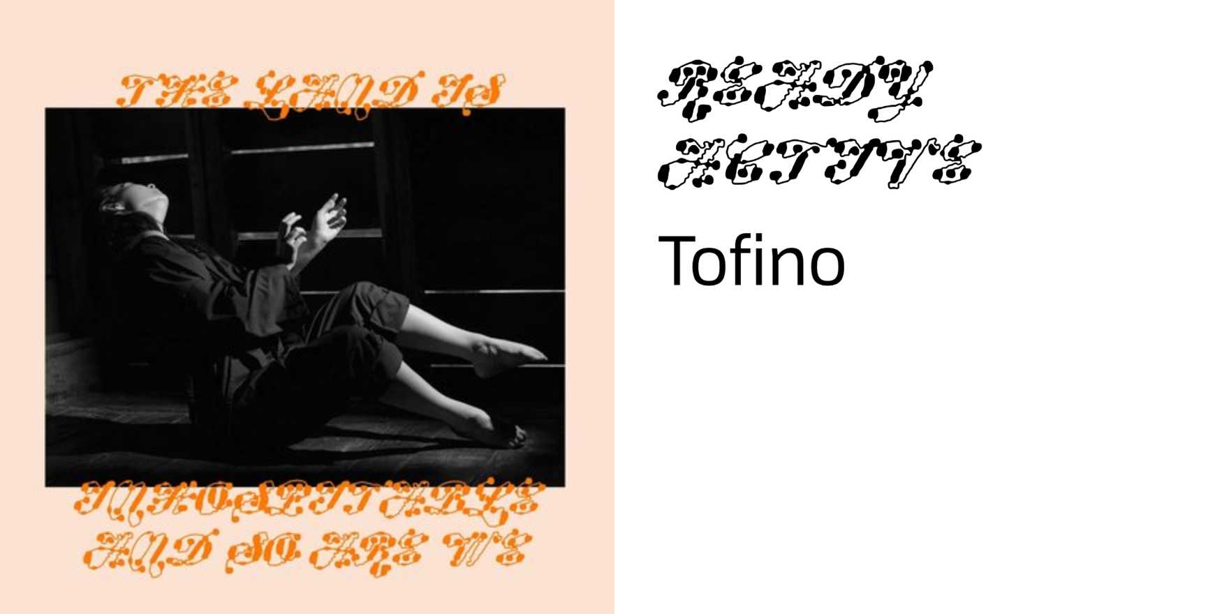 Mitski – The Land Is Inhospitable and So Are We album art - Fonts In Use