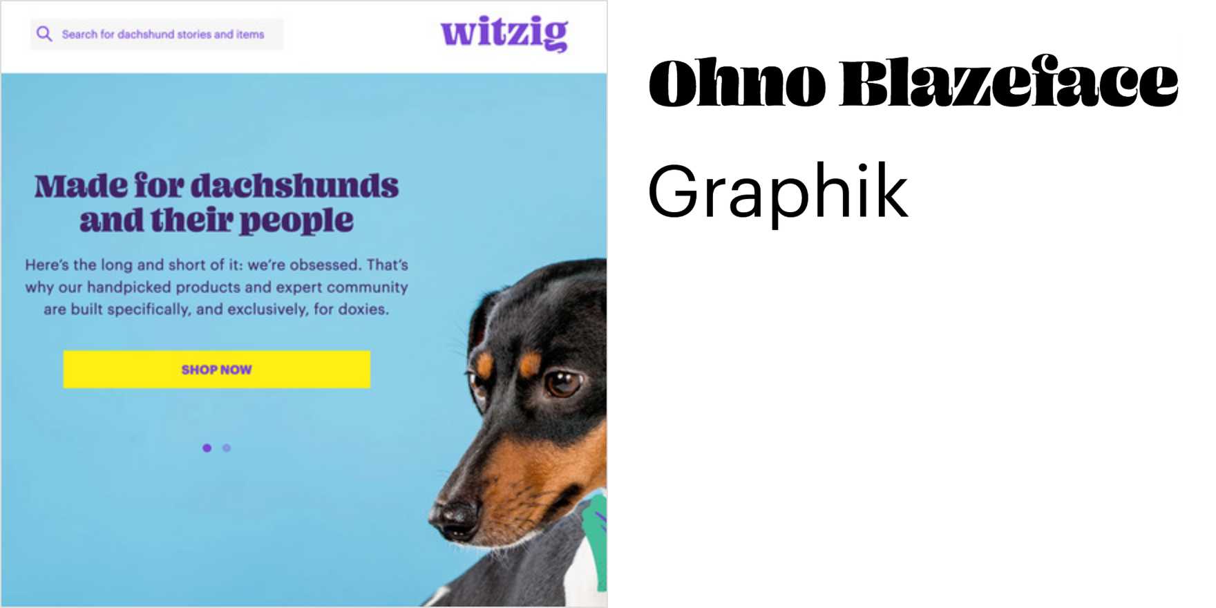 Witzig logo and website - Fonts In Use