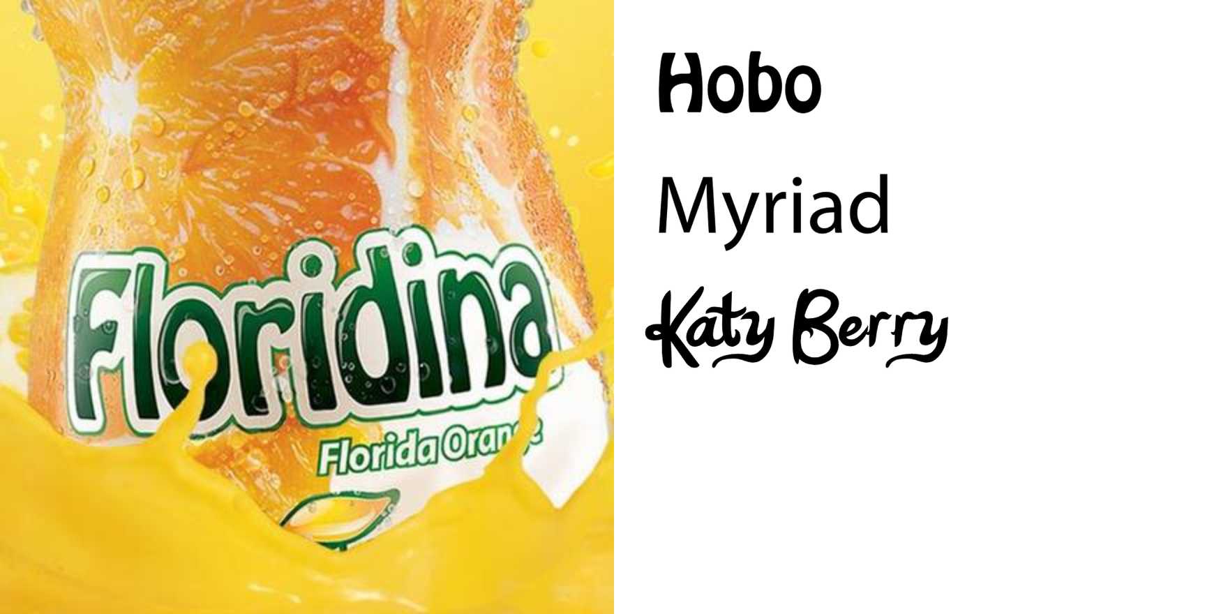 Floridina - Fonts In Use