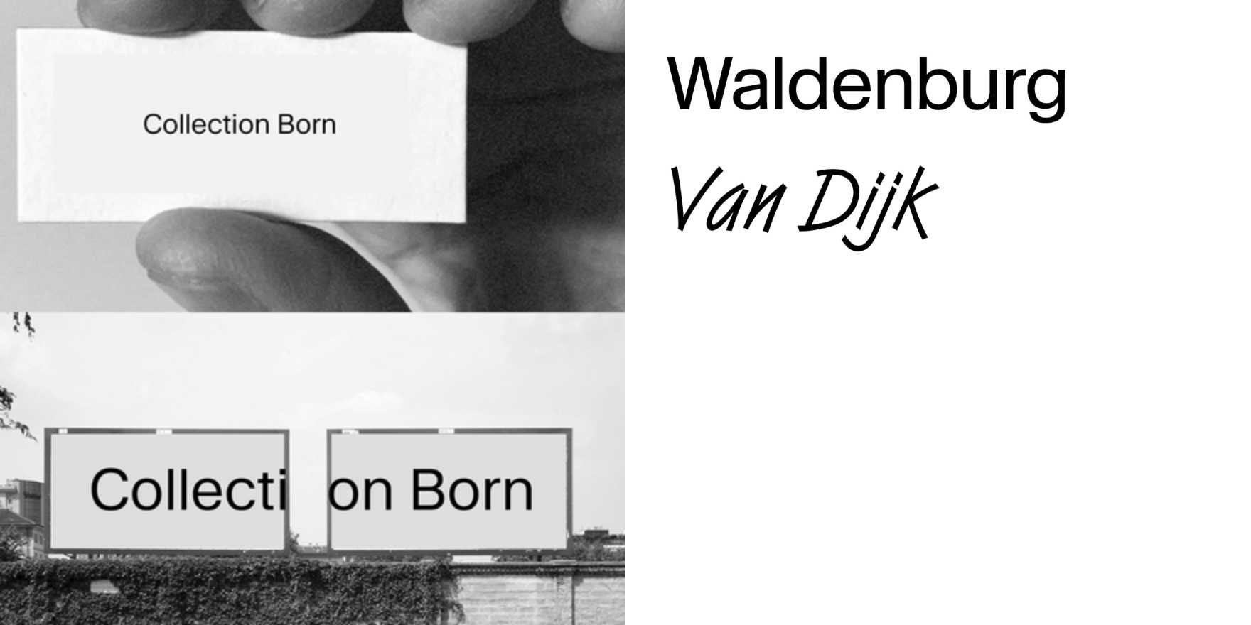 Collection Born - Fonts In Use