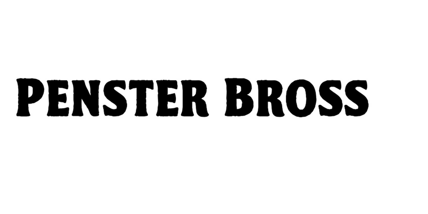 Penster Bross in use - Fonts In Use