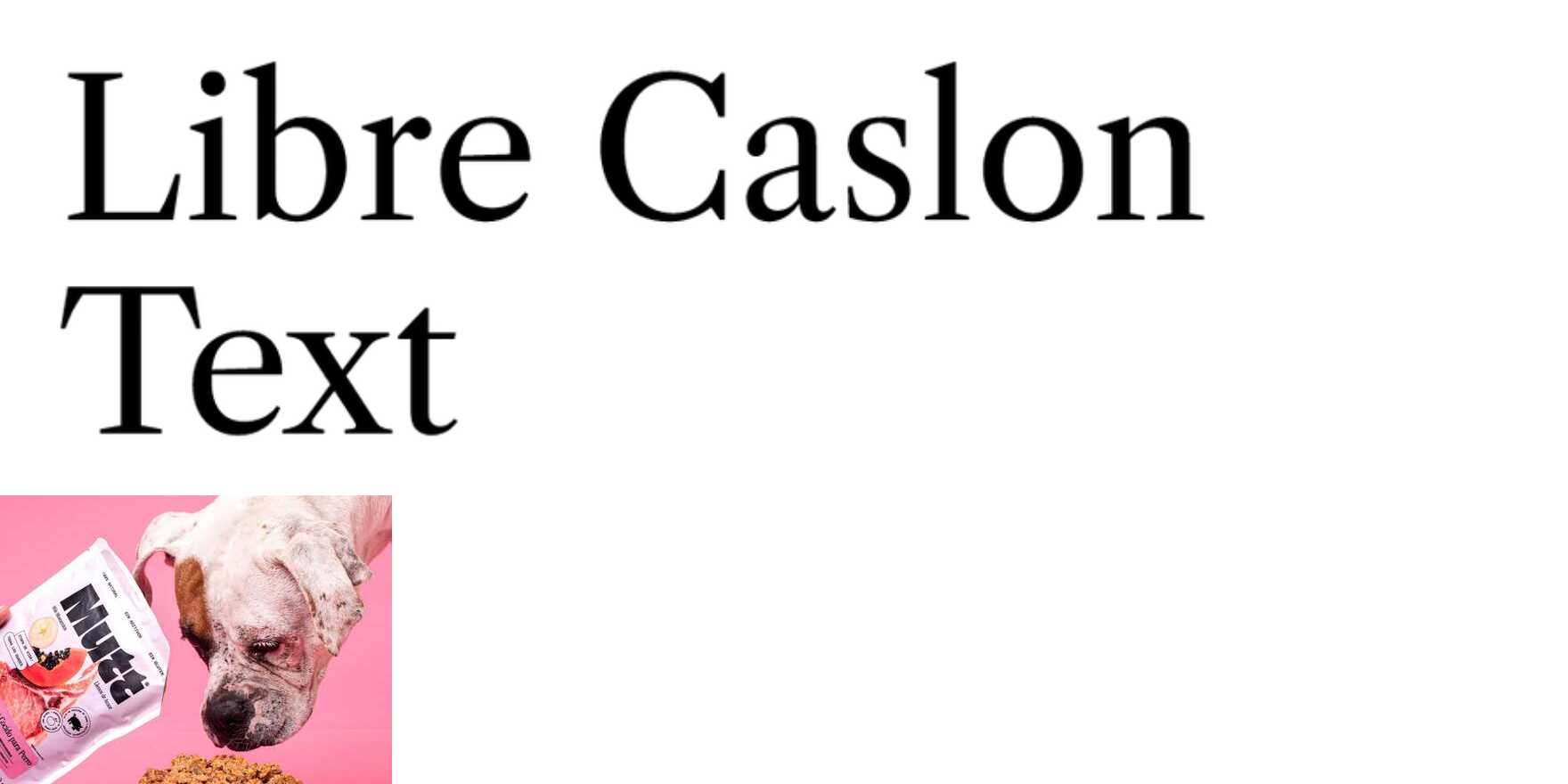 Libre Caslon Text in use - Fonts In Use